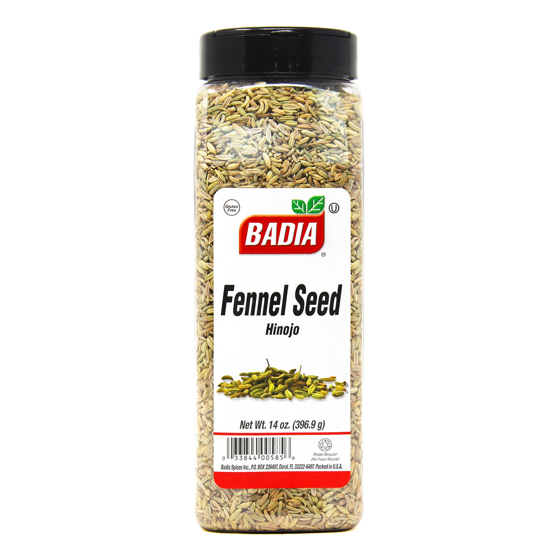 Fennel Seed Whole 14oz – Carib Island